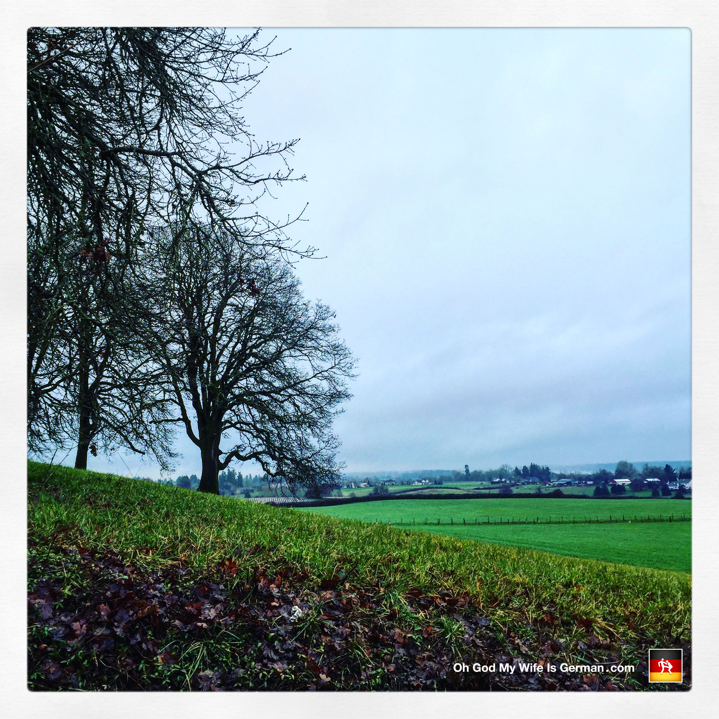 portland-oregon-trees-open-field – Oh God, My Wife Is German.